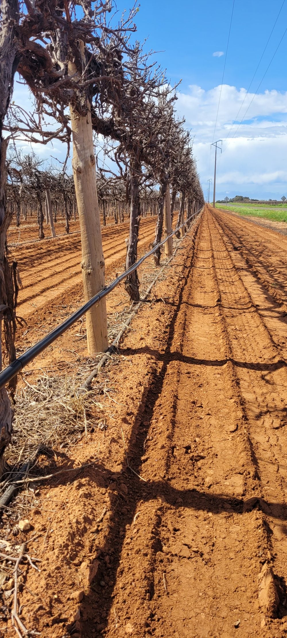 Ordering Water - Central Irrigation Trust